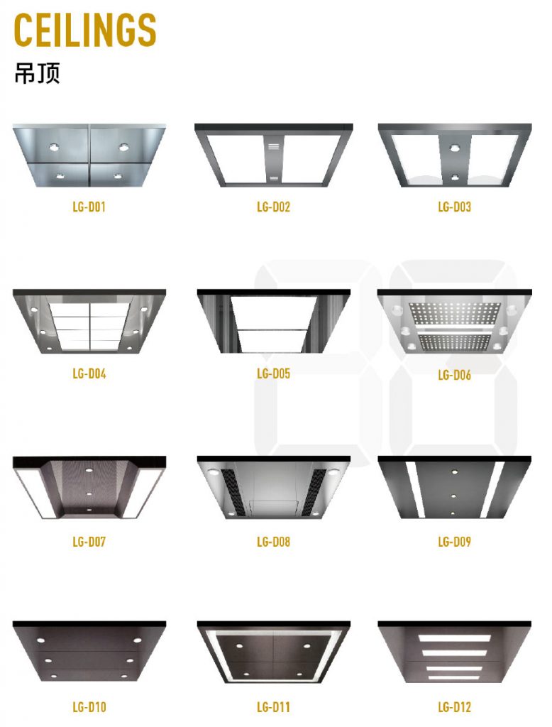 Passenger Elevator - lg elevator